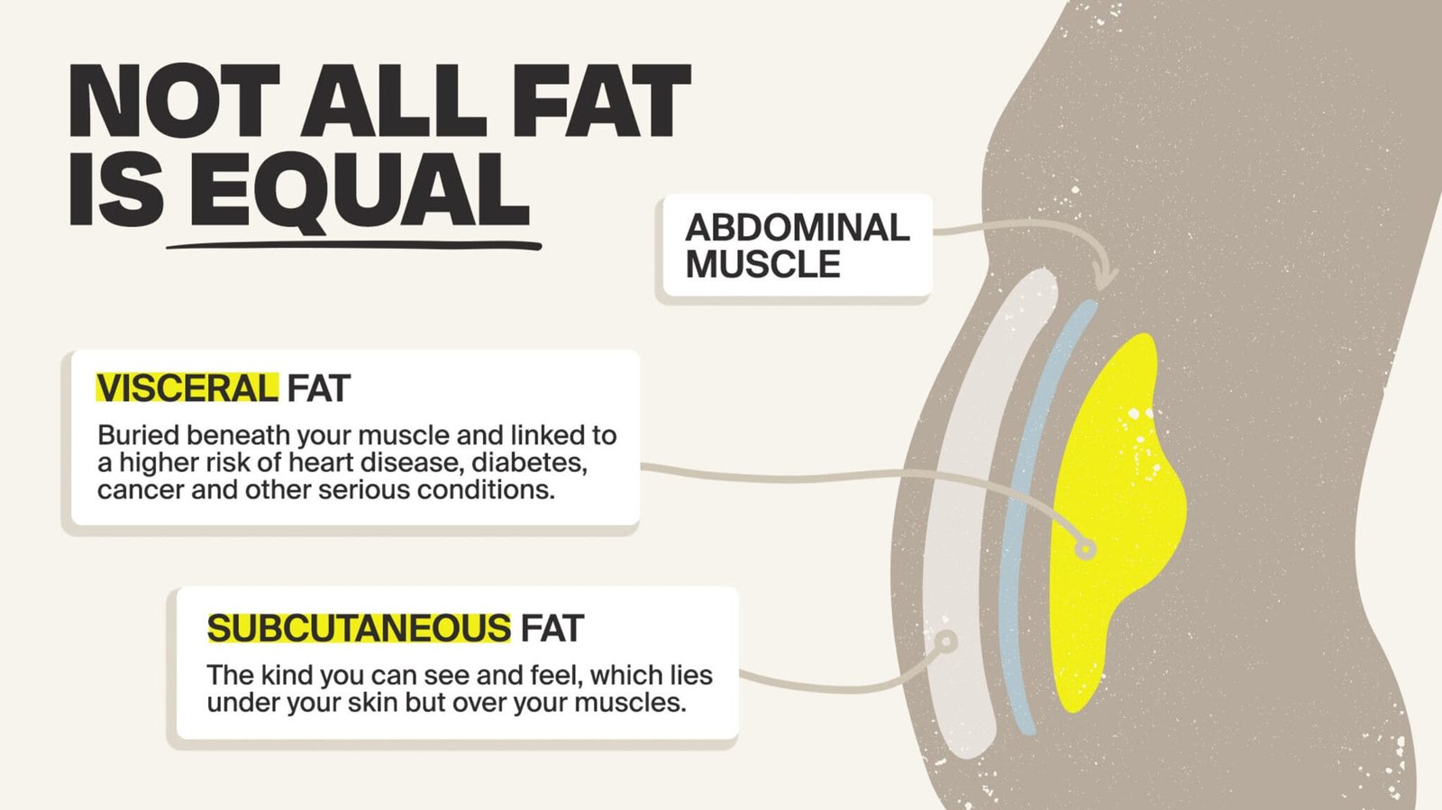 Why Is Lower Belly Fat So Hard to Lose? Proven ways to lose it.